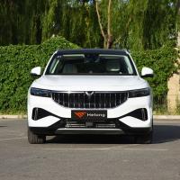 China High Speed EV Fast Charging Electric Vehicle VOYAH FREE 2020-2023 ≥500Nm 5 Seats for sale