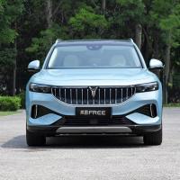 China Dongfeng Electric Car Voyah Free EV Suv with Extended Range 200km/h and Left Steering for sale