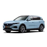 China 2023 4WD VOYAH FREE Extended Range Exclusive Luxury Electric Car ev suv pure 505kw 631kw for sale