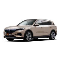 China 2023 4WD VOYAH FREE Extended Range Exclusive Luxury Electric Car ev suv pure 505kw 631kw for sale