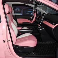 China Electric Neta V 2022 Tide 400 Lite Pink Custom Long Battery Life and Fast Charging Time for sale