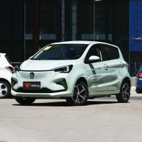 China Energy Small Electric Car Changan Benben E-star 2023 0km Max torque 1 Range NEDC 310KM for sale