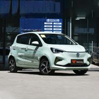 China Energy Small Electric Car Changan Benben E-star 2023 0km Max torque 1 Range NEDC 310KM for sale