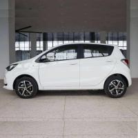 China Changan Benben E-star 2023 0km 31.18kwh 101KM/H Small Electric Car with and Energy for sale