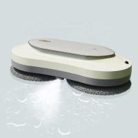 China Trending Household Glass Cleaner with Water Tank 50ml Private Mold and Remote Control for sale