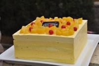China 1.3KW 220V Automatic Ultrasonic Cake Cutter Machine 500KG for sale