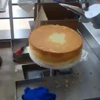 China Patisserie Cream Layer Cake Machine For Snack Food Production Baking Equipment for sale