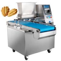 China Versatile Bakery Biscuit Making Machine with Automatic Shape at 1000*1600*1600mm Size for sale