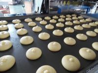 China 400KG Rotary Cake Wire Cut Cookie Depositor Muffin Machine for sale