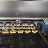 China Professional Chocolate Chip Cookies Making  Machine for different shapes for sale