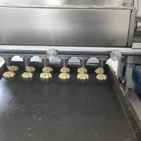China Professional Chocolate Chip Cookies Making  Machine for different shapes for sale