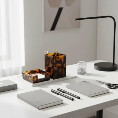 China New Design Acrylic Hawksbill Color Pen Case Open Top Student Stationery Cosmetic Brush Storage for Office Desktop for sale