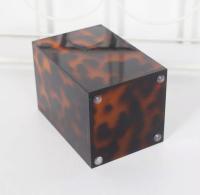 China New Design Acrylic Hawksbill Color Pen Case Open Top Student Stationery Cosmetic Brush Storage for Office Desktop for sale