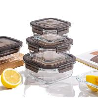China High Quality Kitchen Food Storage Container Set Transparent Food Grade Safe Glass Organizers with Flip Top Lids for sale