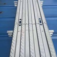 China Custom Aluminum Solar Walkway with 500kg Load Capacity and 10-Year Warranty for Rooftop PV Installation for sale