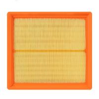 China Professional Peugeot Air Filter OE 1444FK 1444PX 9104140 9221116 1444VX with Material for sale