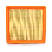 China Auto Parts Air Filter for Audi 2.0 40 TFSI Engine 8W0133843B 8W0133843E for sale
