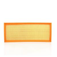 China OE 1GD129620 A11-1109111AB C30136 Auto Air Filter for Mercedes Benz Customization for sale
