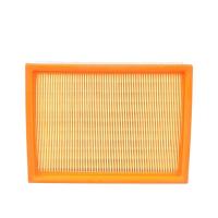 China Professional Peugeot Air Filter OE 1444FK 1444PX 9104140 9221116 1444VX with Material for sale
