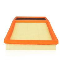 China 36*378*180 OE 30005099 10144394 Air Purifier HEPA Filter Air Filter within 1.5 Engine for sale