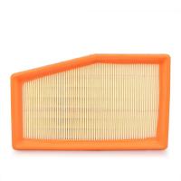 China CAR Reference NO. AG1620 OE 13717532754 C1361 Cartridge Air Filter for CAR Model for sale