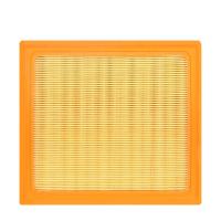 China Air Filter for Nissan 2008- Remove Impurities Function 2008- OE 6546JK20B 16546JK20A for sale