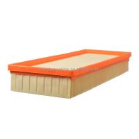 China PEUGEOT 206 Car Air Filter OE 9678335980 CA12021 Universal High Filtration Efficiency for sale