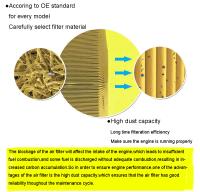 China Piaggio Fiat Holland Auto Air Filter OE 1017110xed95 Suitable for Italian Car RS3954 for sale