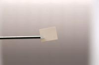 China 4mmx5mm Permanent Adhesive Label 1mil  White Matte High Temperature Resistant Polyimide Label For 8 Row for sale
