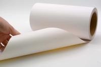 China Polyimide Materials Permanent Adhesive Matte White 1Mil With Glassine for sale