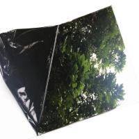China Gold Color Bright Stainless Steel Sheet Plate 1.2mm 2.0mm Thickness 304 316L for sale