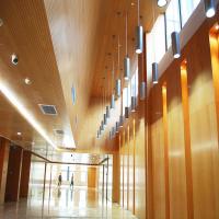 China Brushed 5051 Aluminum Ceiling Strips 1.2mm Thickness for Interior & Exterior Wall Cladding for sale