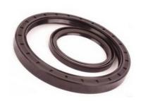 China EuroIII frame oil seal for sale