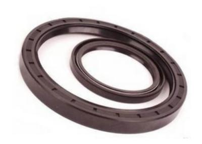China EuroIII frame oil seal for sale