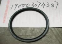 China Oil seal for sale