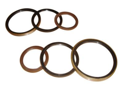 China Oil seal for sale