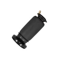 China Air Spring with Pistons System   Truck Trailer air Suspension Parts 1349840 CB0067 290988 557001 112320 105845 for sale