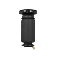 China Air Spring with Pistons System   Truck Trailer air Suspension Parts 1349840 CB0067 290988 557001 112320 105845 for sale