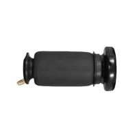 China Air Spring with Pistons System   Truck Trailer air Suspension Parts 1349840 CB0067 290988 557001 112320 105845 for sale