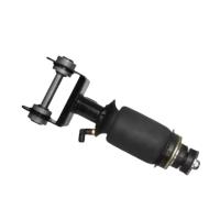 China 5010552241 7420898055 7482052893 20591650 82052893 Truck Cab Rear Shock Absorber for Renualt for sale