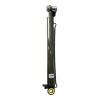 China WG9925824014 WG9925823014 Lifting Cylinder Hot Sale Spare Part Lifting Hydraulic Cylinder for Sinotruk for sale