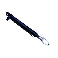 China Shaanxi Automobile Aolong Cab Flipping Cylinder Assembly 199100820028 for sale