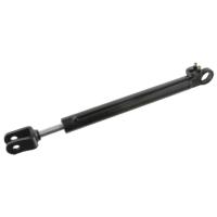 China Truck Trailer Spare Parts Cabin Lift Hydraulic Tilt Cylinder Driver Cab Jack for Mercedes benz Actros 0015534305 for sale