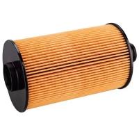China Sinotruk Howo Weichai WD615 Truck Fuel Filterc    13055724 for sale