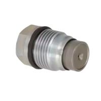 China Fuel Pressure Relief Valve Sensor 1110010017 for  1110010024 1110010028 1110010015 1110010018 F00R000741for Excavator for sale