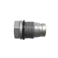 China Fuel Pressure Relief Valve Sensor 1110010017 for  1110010024 1110010028 1110010015 1110010018 F00R000741for Excavator for sale