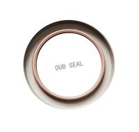 China ZF 0734319445 90*120*13/9.5 90*120*13/9.5 Radial Seal Ring FKM Fkm Oil Seal for sale