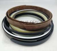 China 4634774 Seal Kit For 4617089 LIFT Cylinder Hitachi EX5500-6 EX5600-6 EX8000 EX8000-6 FOR WIGGINS for sale