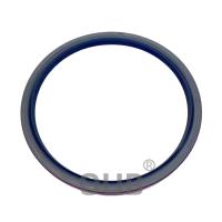 China 415867 NBR Steel Spring Composite Wheel Hub Oil Seal Kit for Heavy Mining Haul Truck Wheel Hub Overhaul Maintenance for sale