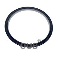 China 195-63-42461 1956342461 PACKING OF D155A-1 D355A-3 for sale